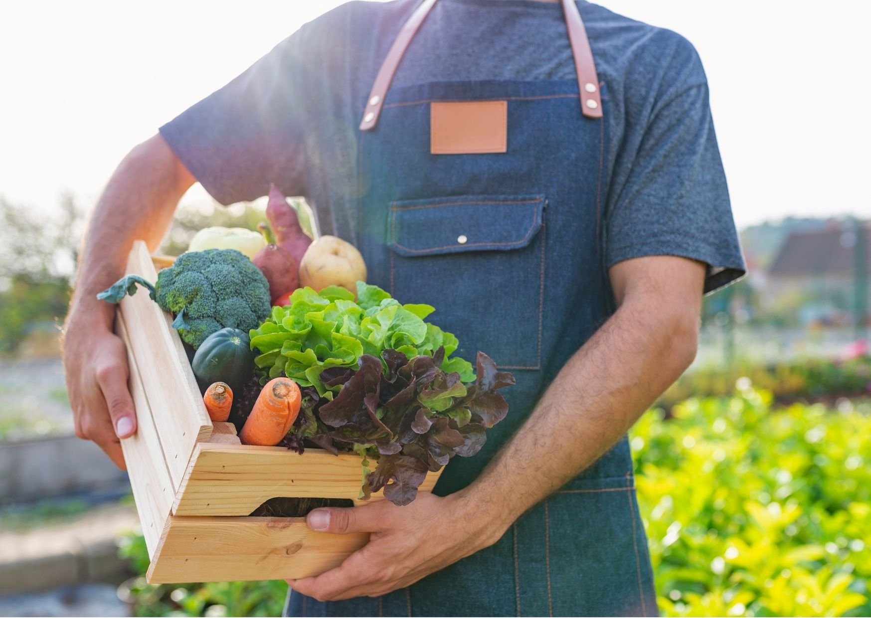 Productos ecológicos: 10 motivos por los que son la mejor opción ...